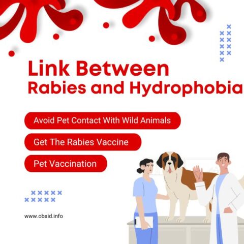 Understanding the Link Between Rabies and Hydrophobia: The Fear of ...