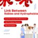 Understanding the Link Between Rabies and Hydrophobia: The Fear of ...